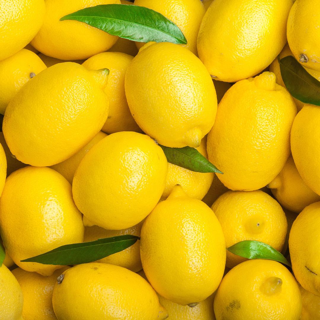 Lemon Moringa Hand Malai