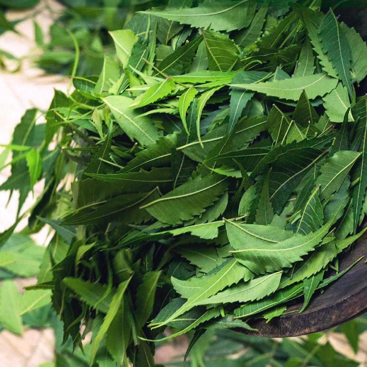 Cold Processed Acne-proof Neem-Basil Salicylic Soap